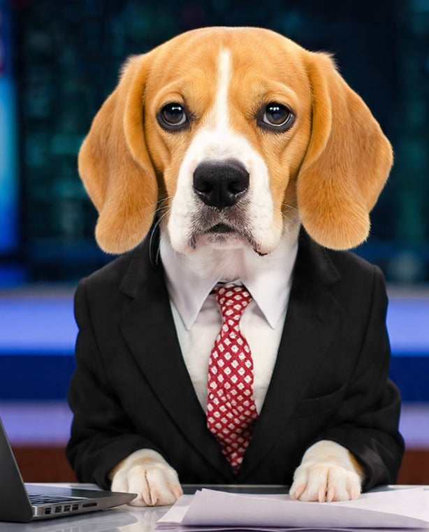 Is Your Cat's Food Making Them Sick? 5 Red Flags Every Owner Must Know ...